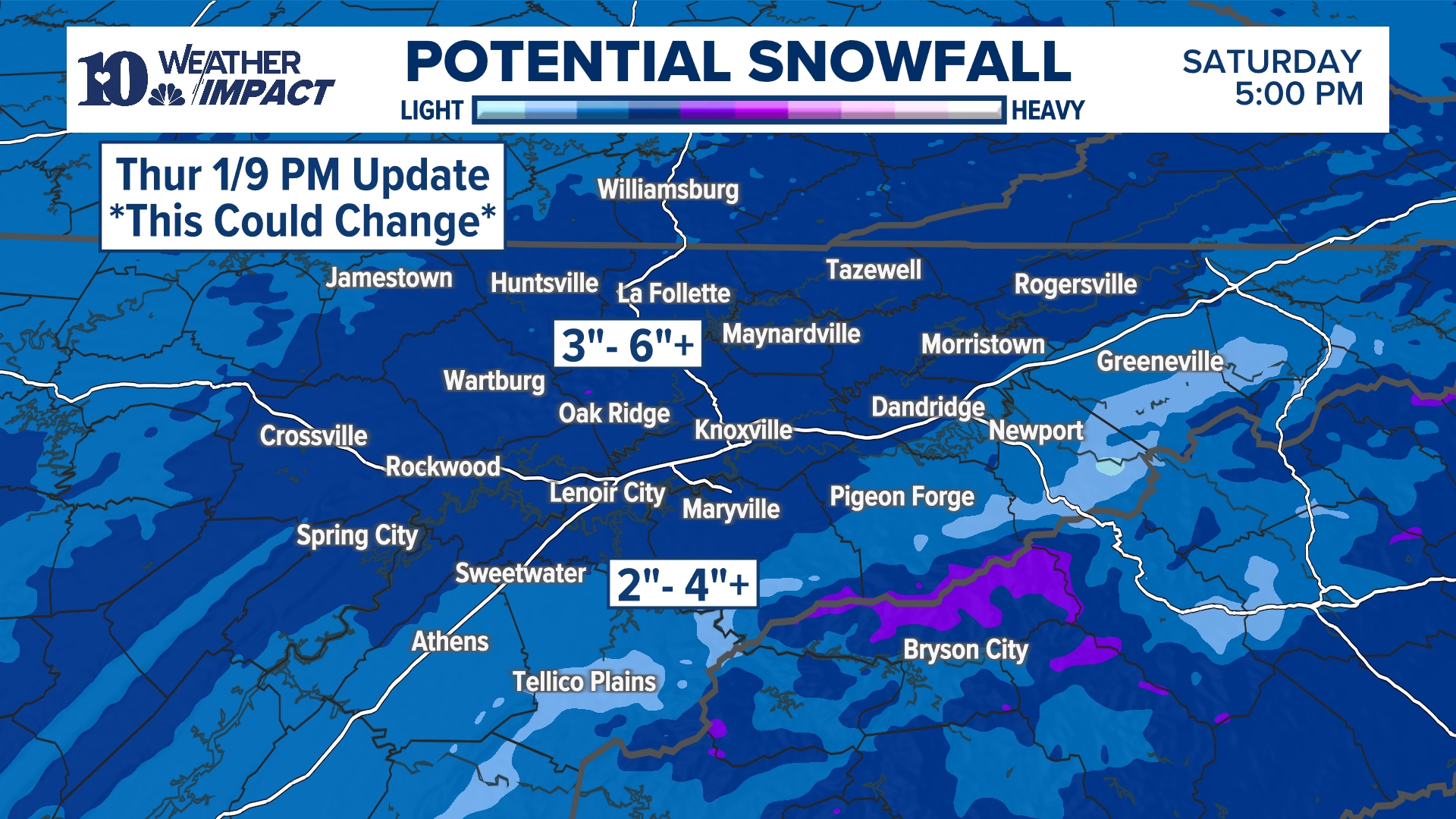 'Pearl Harbor tree' rooted in Cades Cove history | wbir.com