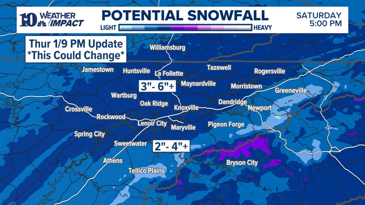 'Pearl Harbor tree' rooted in Cades Cove history | wbir.com