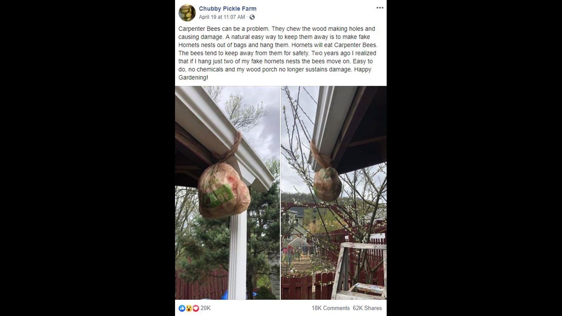 How to get rid of carpenter bees | wbir.com