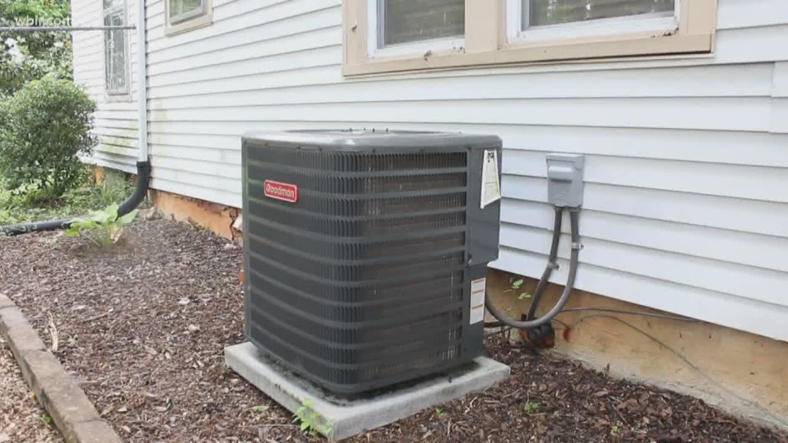 Hiss! Here are the four venomous snakes of Tennessee | wbir.com