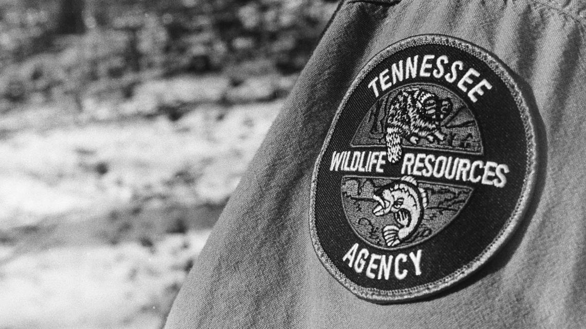 Hunters and TWRA grapple with wild hog crisis in East Tennessee | wbir.com