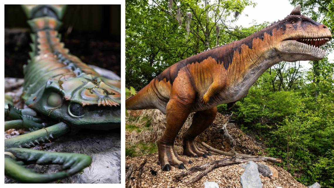 'Planet Predator' at Zoo Knoxville remains open until Halloween | wbir.com