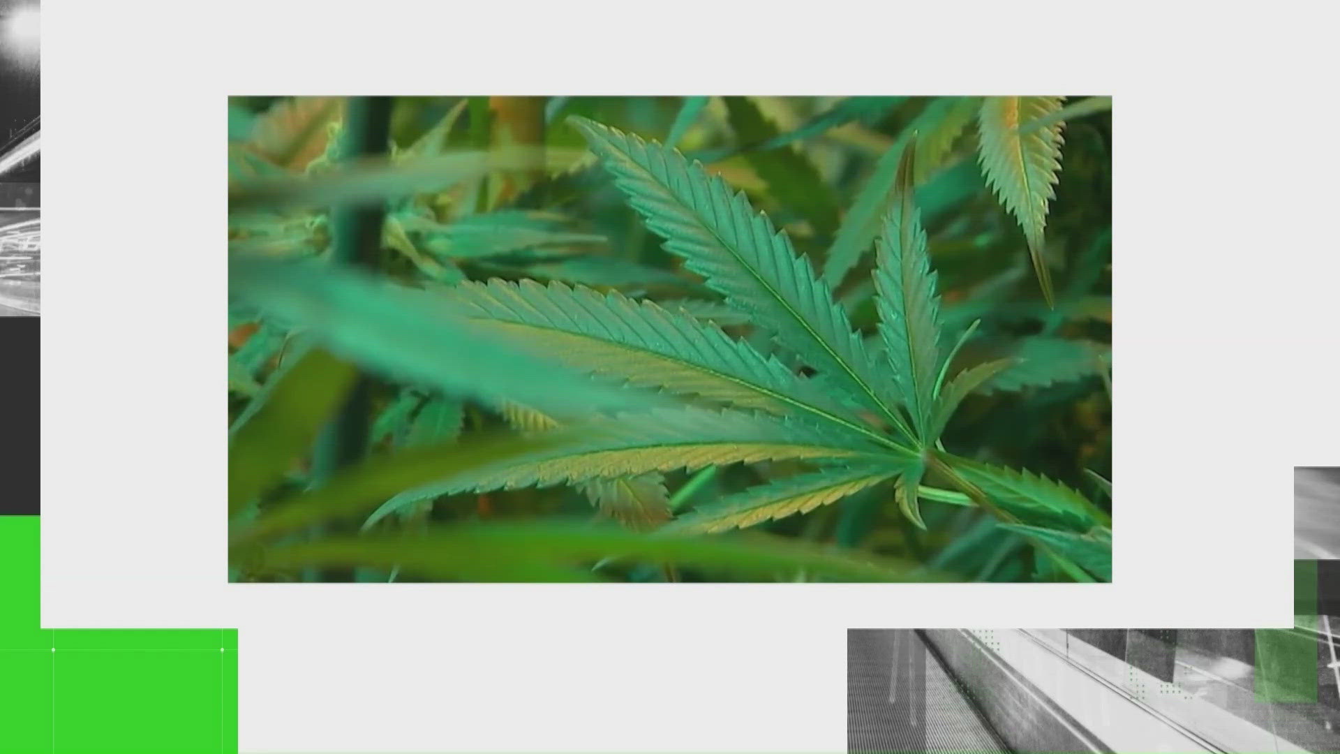 In-N-Out Burger drops order number 67 from its system after viral meme ...