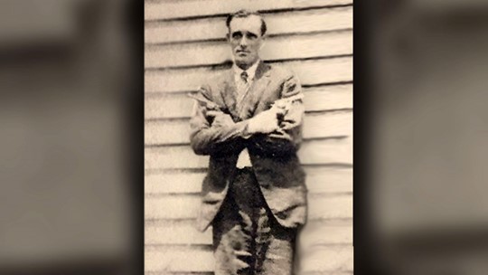 'Pearl Harbor tree' rooted in Cades Cove history | wbir.com