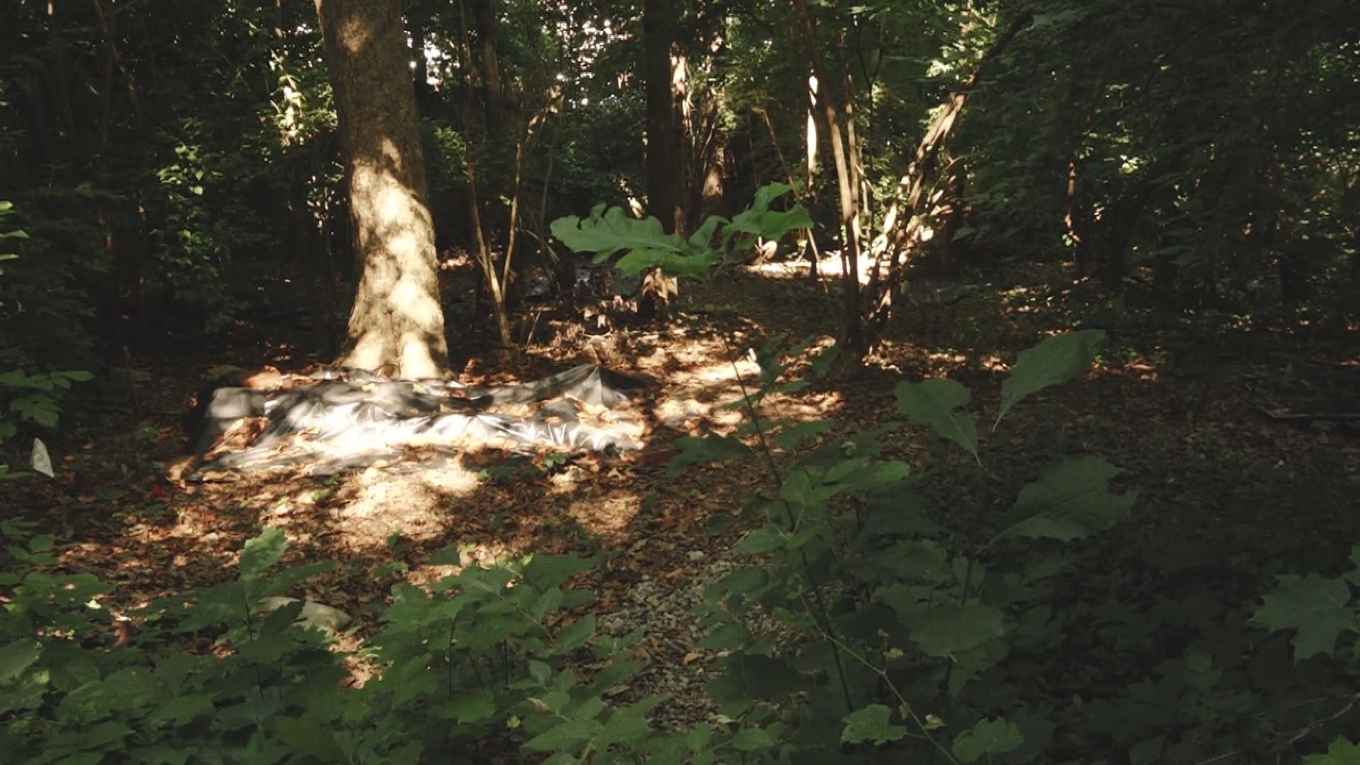 What goes on behind the locked gates of the Body Farm | wbir.com