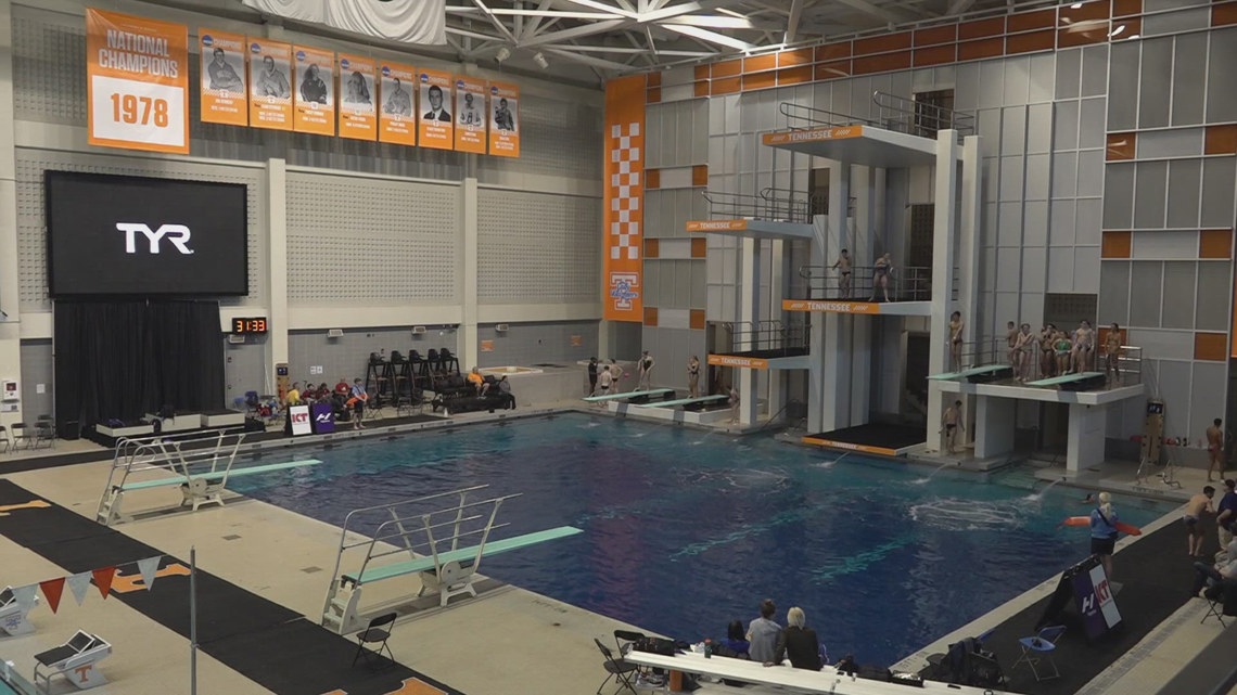 Team USA's 2024 Olympic divers | wbir.com