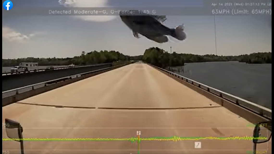 Watch out for that fish: Slippery critter crash lands on truck ...