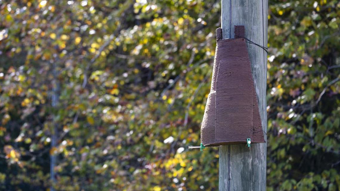 ORNL makes eco-friendly bat habitats with biodegradable materials ...