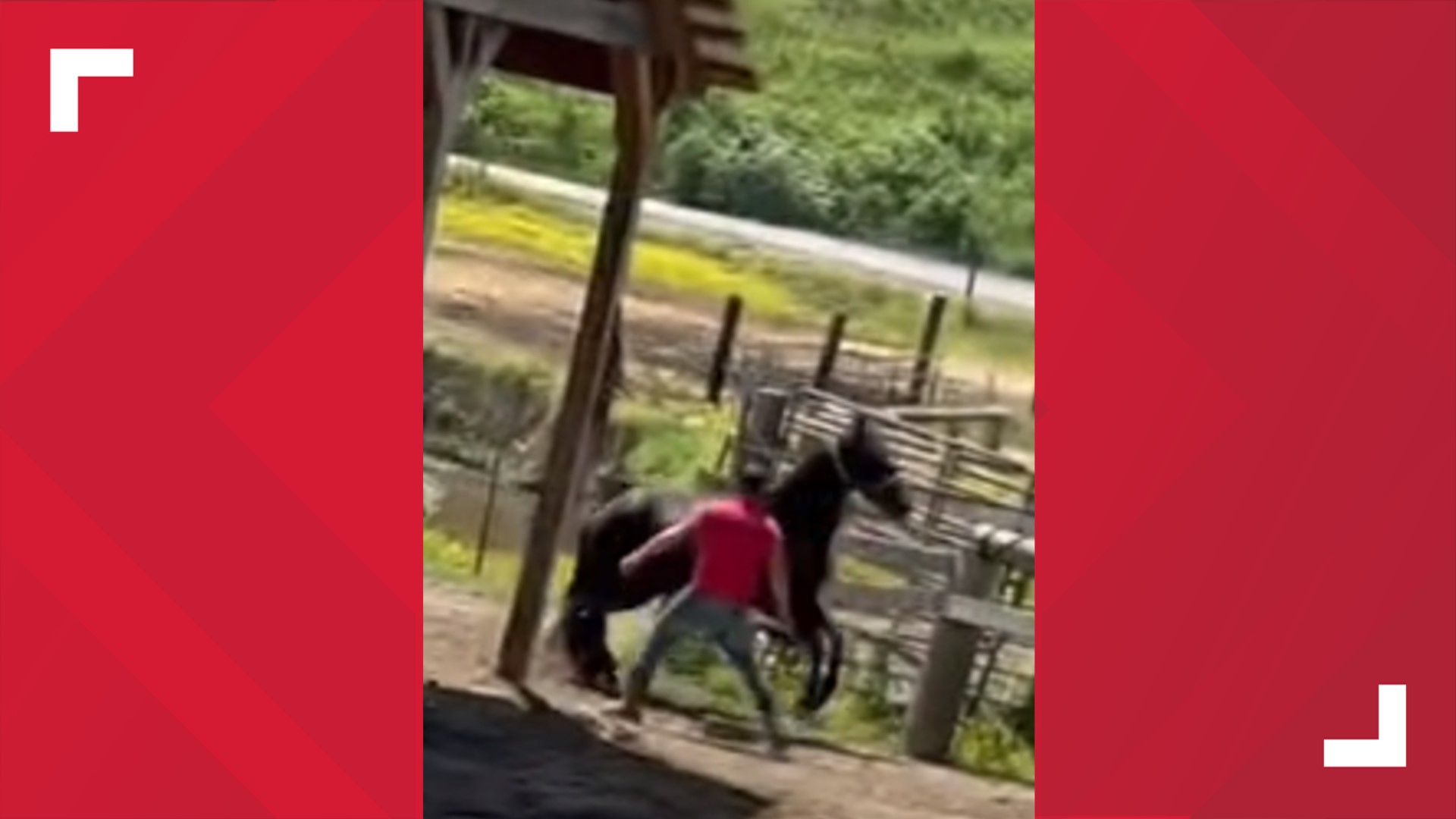 PFPD: Employee at Pigeon Forge stables arrested after video of him ...