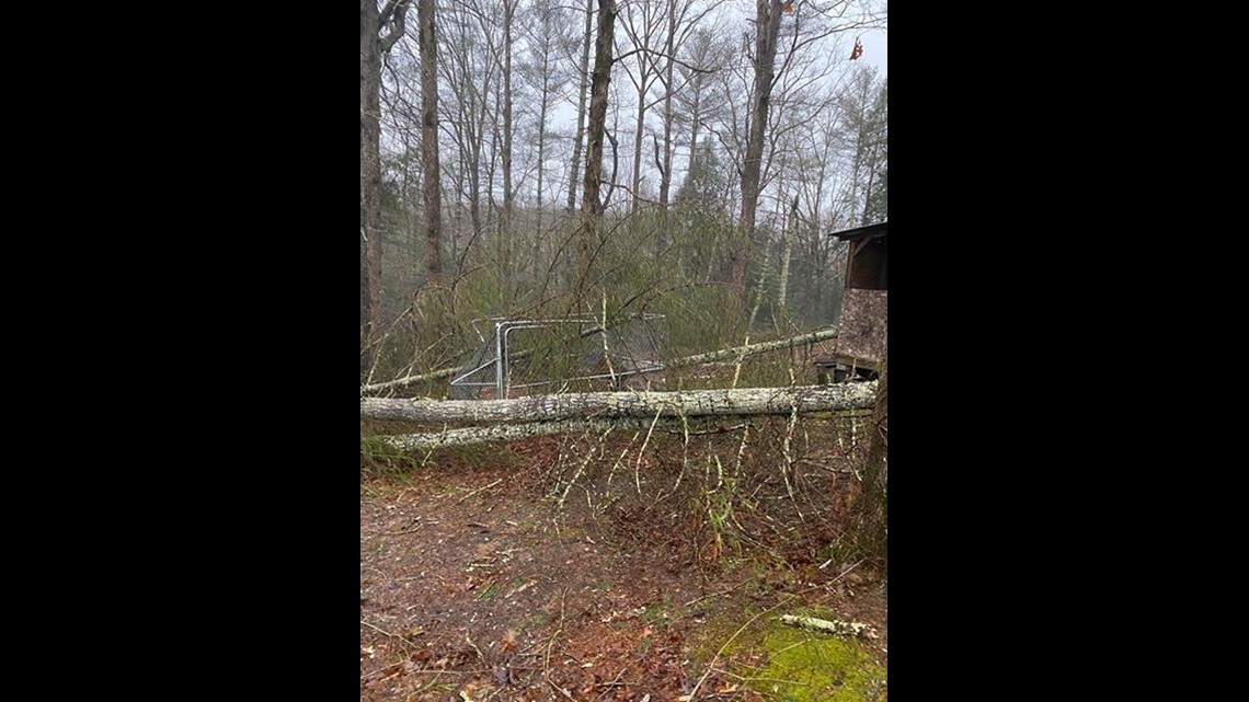 Storm damage in Morgan County, Tennessee | wbir.com