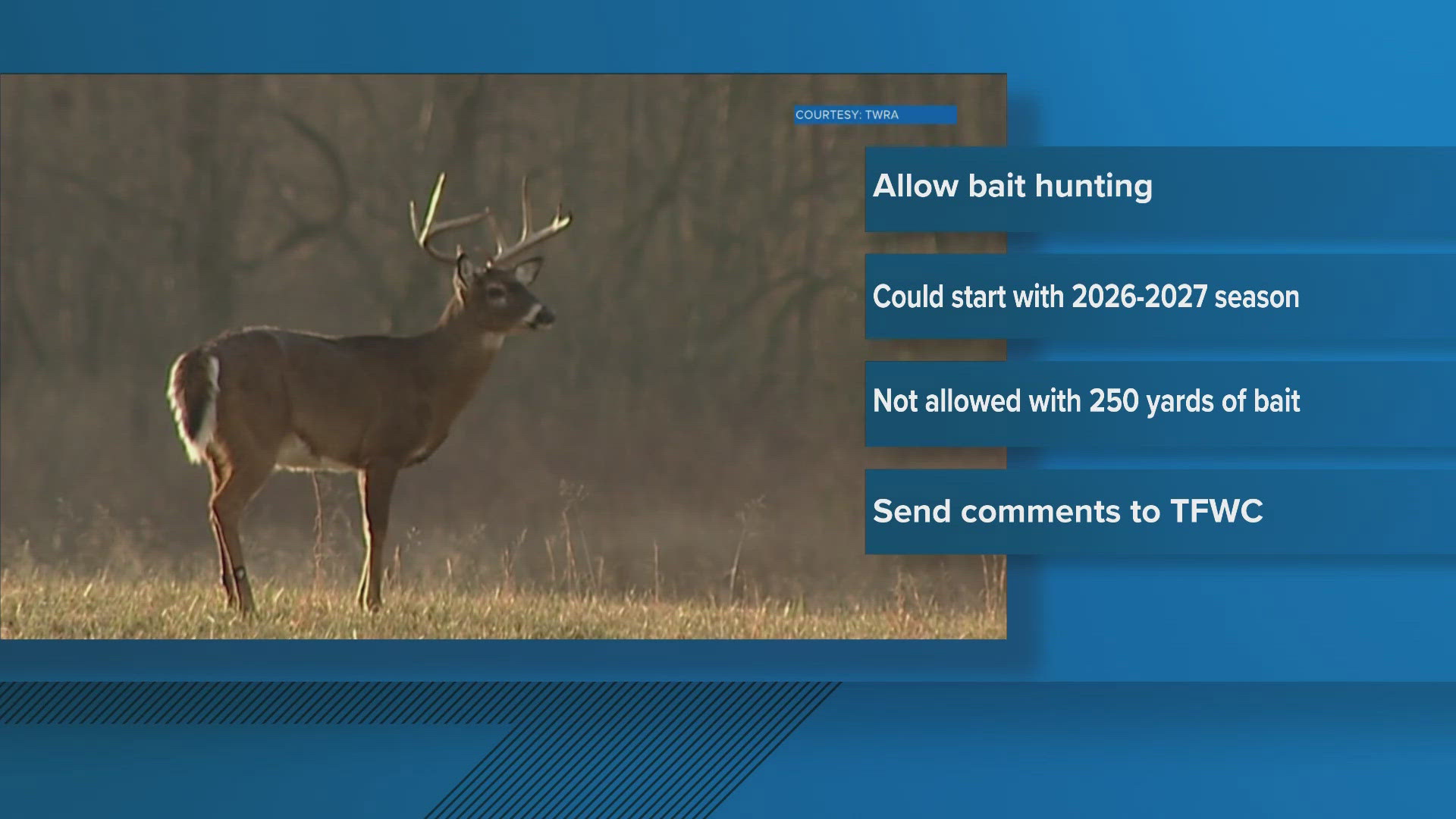 Tennessee considering changes to deer hunting | wbir.com