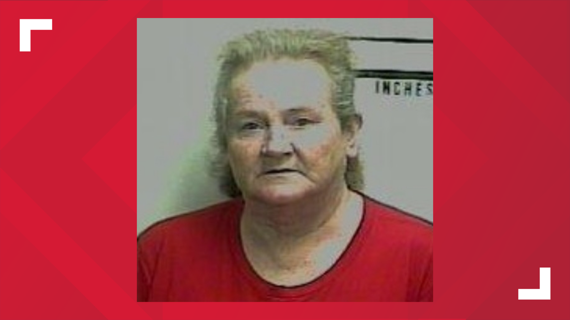 BCSD: Pineville woman charged with arson, served warrants for menacing ...