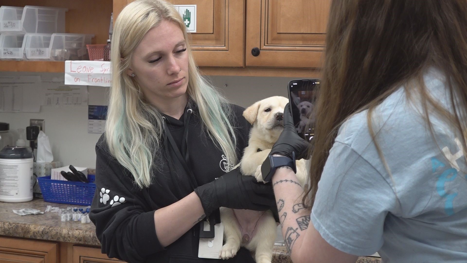 Young-Williams Animal Center to take over animal control services ...