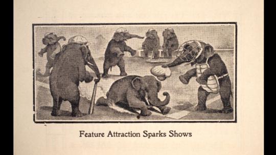 TN town's reputation suffers after elephant hanging | wbir.com