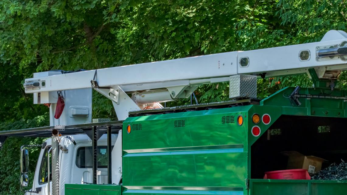 Tree service employee severely shocked by power line in Sevier County ...