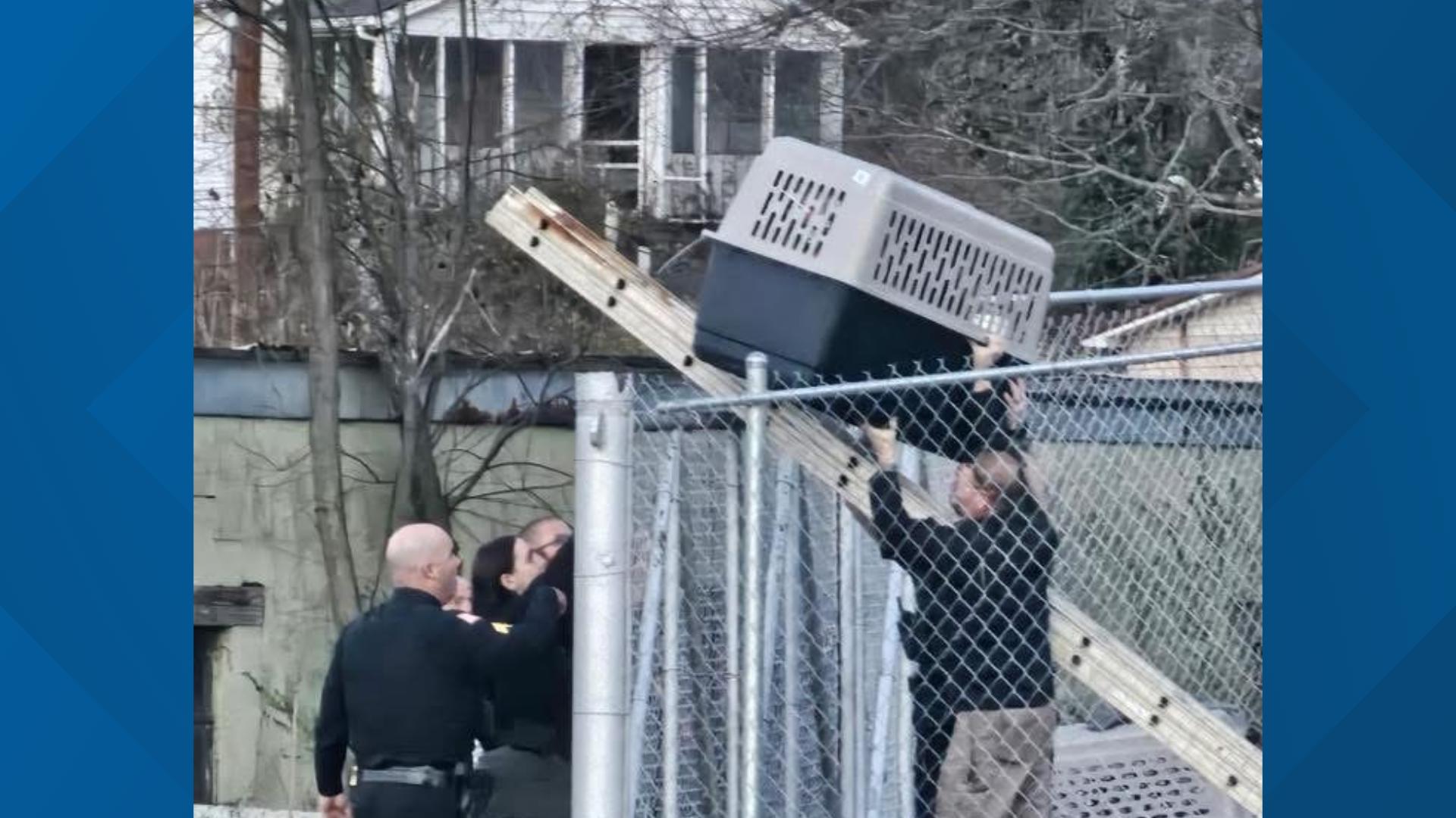 Monkey returned home after breaking into Morristown business | wbir.com