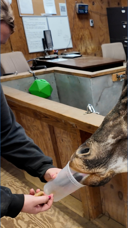 Heather Waliga | wbir.com