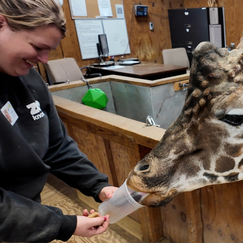 Heather Waliga | wbir.com