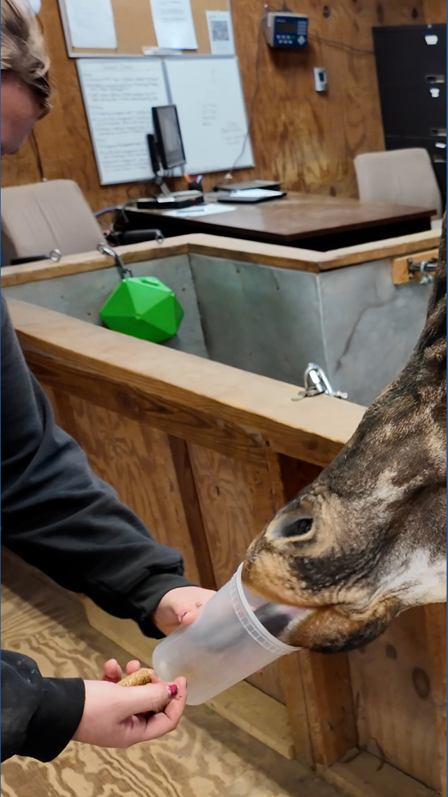 Heather Waliga | wbir.com