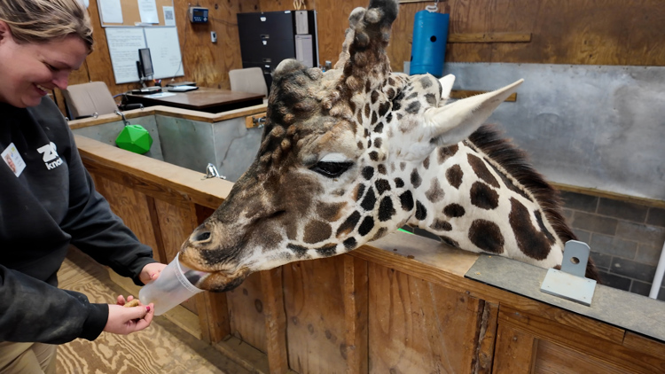 Heather Waliga | wbir.com