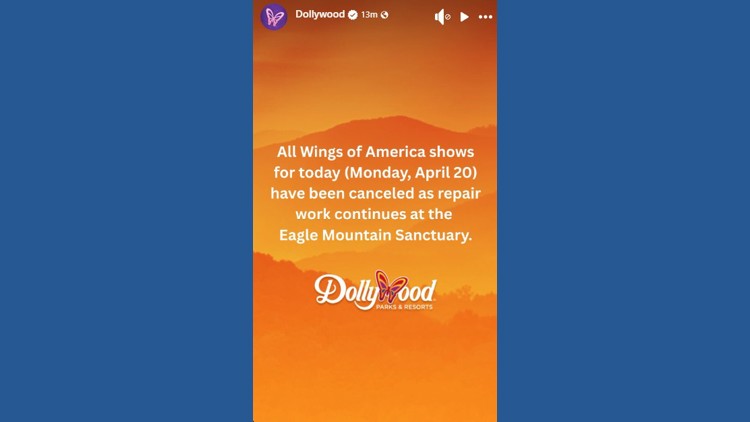 Dollywood cancels 'Wings of America' shows for a second day after eagle ...