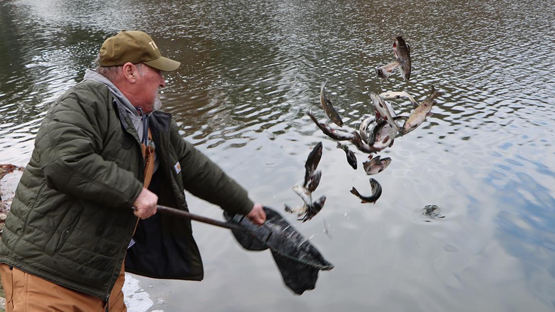 TWRA begins rainbow trout winter stocking program | wbir.com