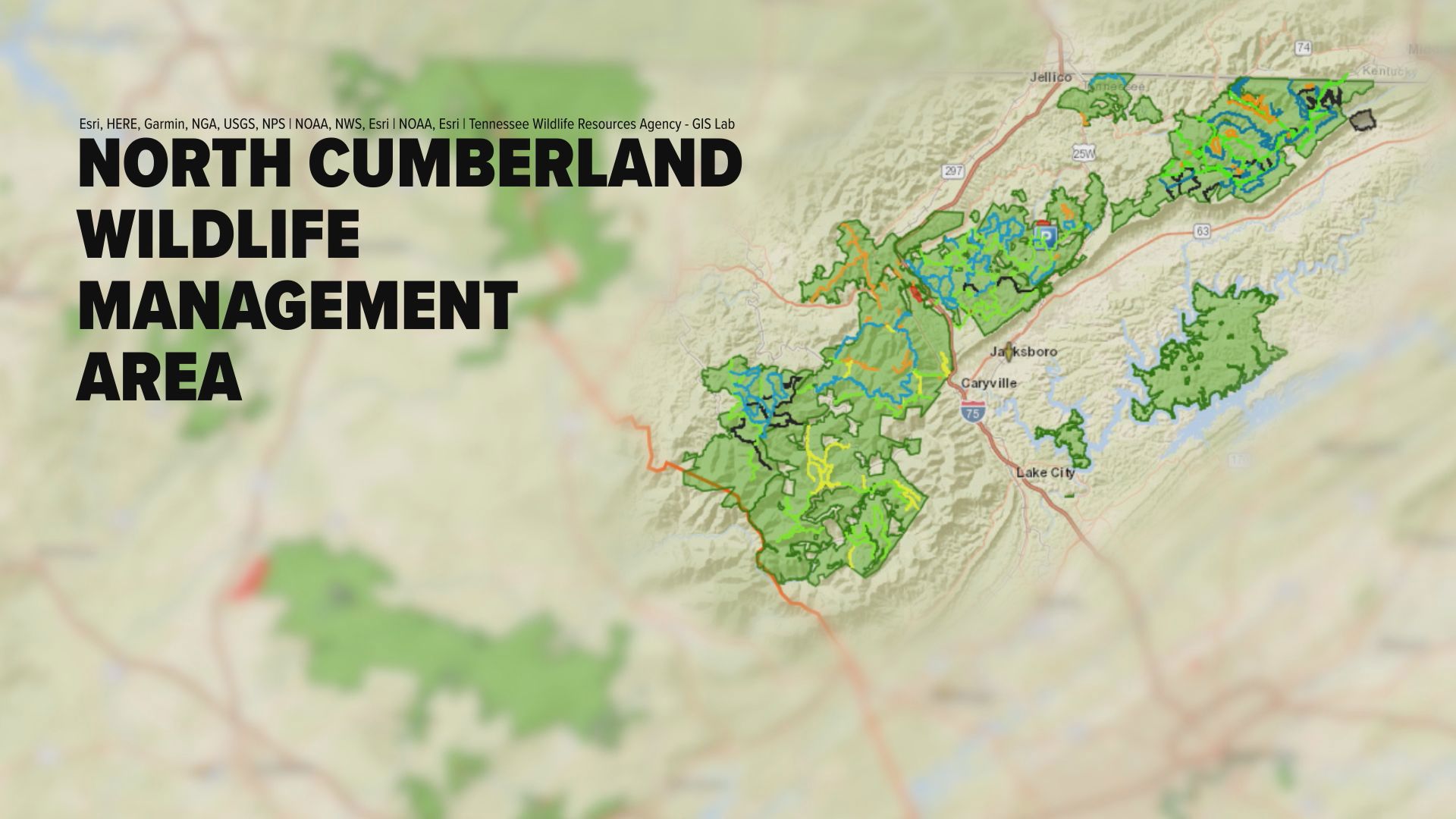 Alcohol is now banned in TWRA wildlife management areas | wbir.com