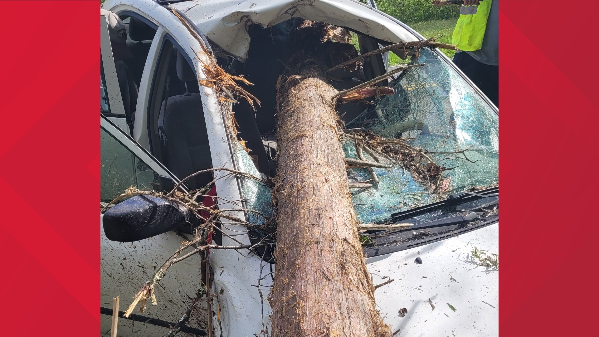 2 survive after fallen tree through car | wbir.com