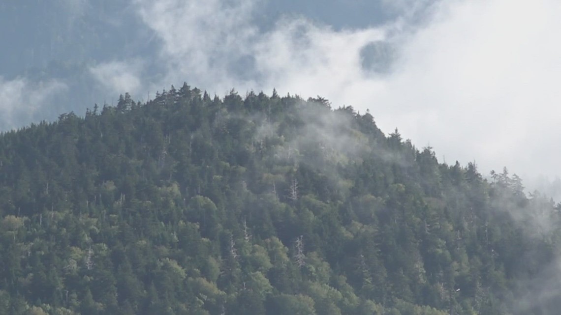 'The city has moved to me' | Neighbor who lived in Sevier Co. for ...