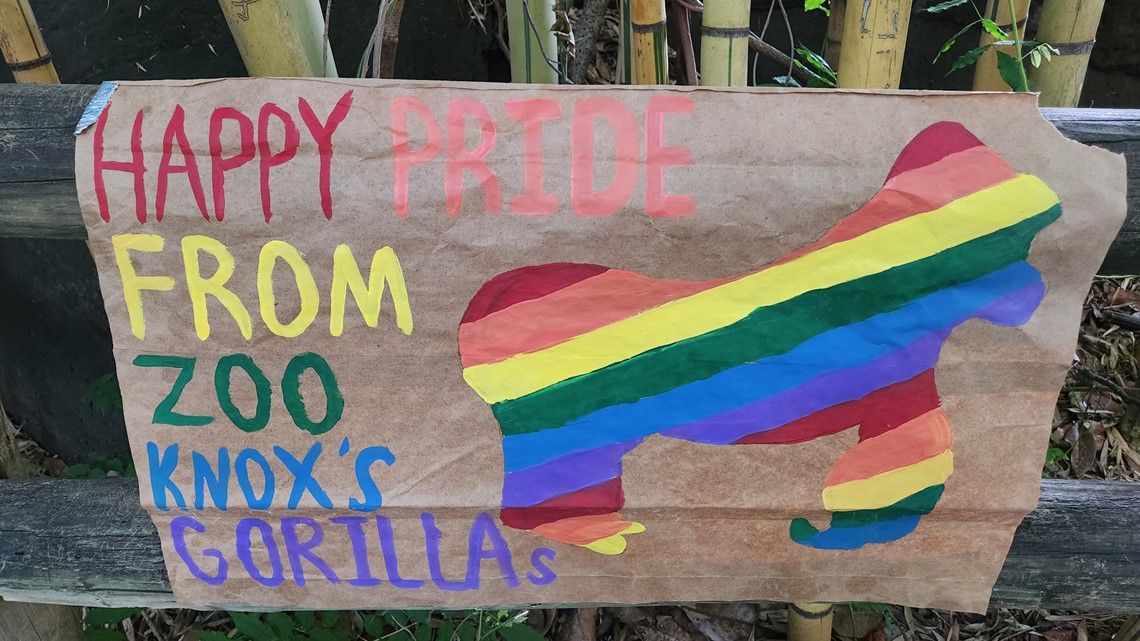 Annual Pride Night returns to Zoo Knoxville with signs, animals and ...