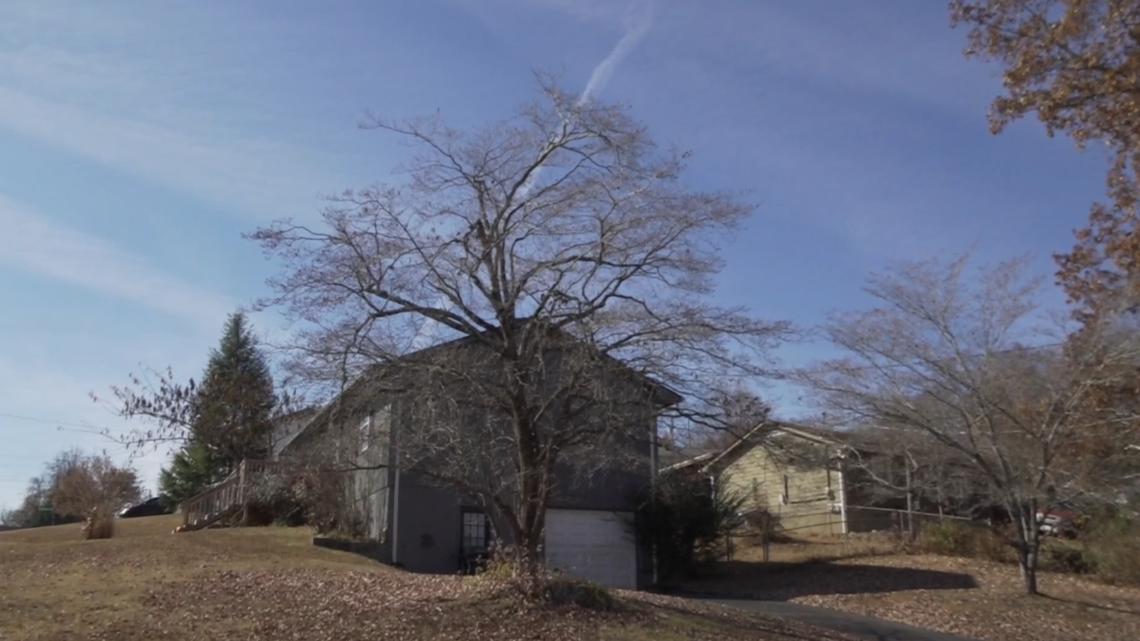 Juvenile, 18-year-old arrested in string of auto thefts after Karns shooting between suspect and ...