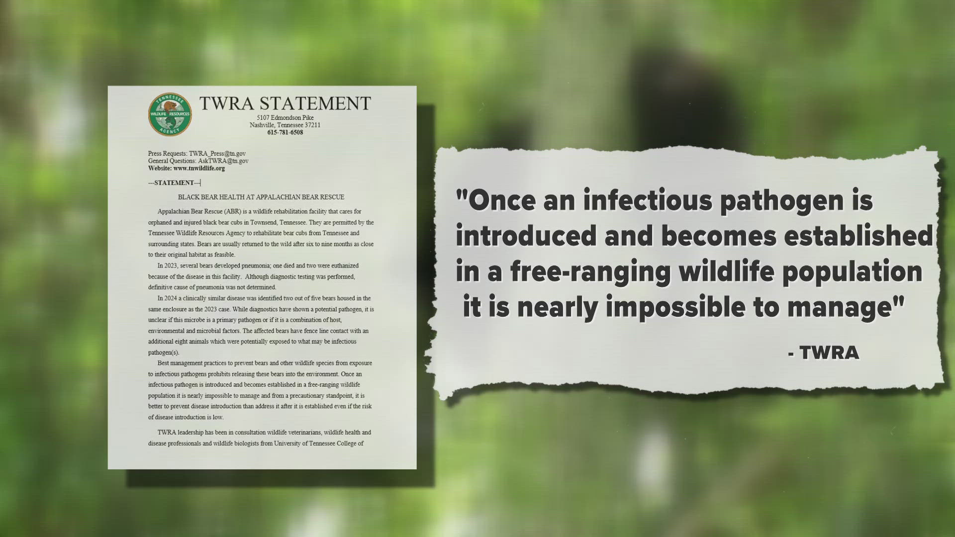 TWRA reevaluating relationship with ABR after euthanizing bear cubs ...