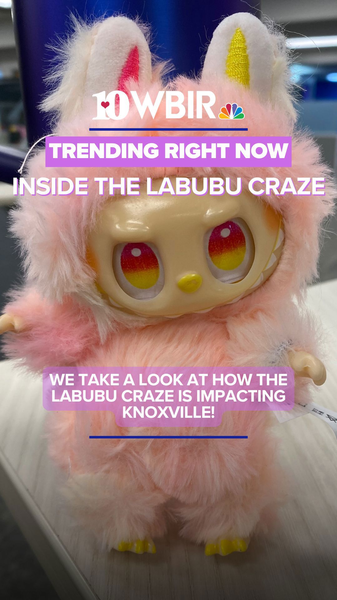 Inside the Labubu Craze: Halloween edition | wbir.com