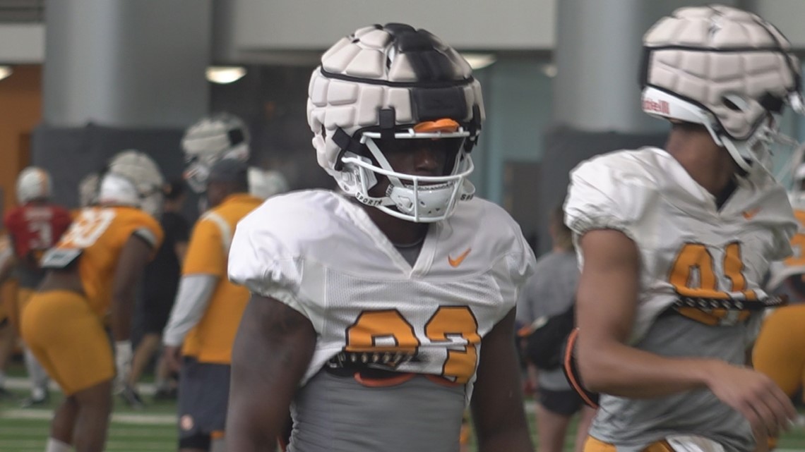 Lyn-J Dixon leaves Tennessee football program | wbir.com