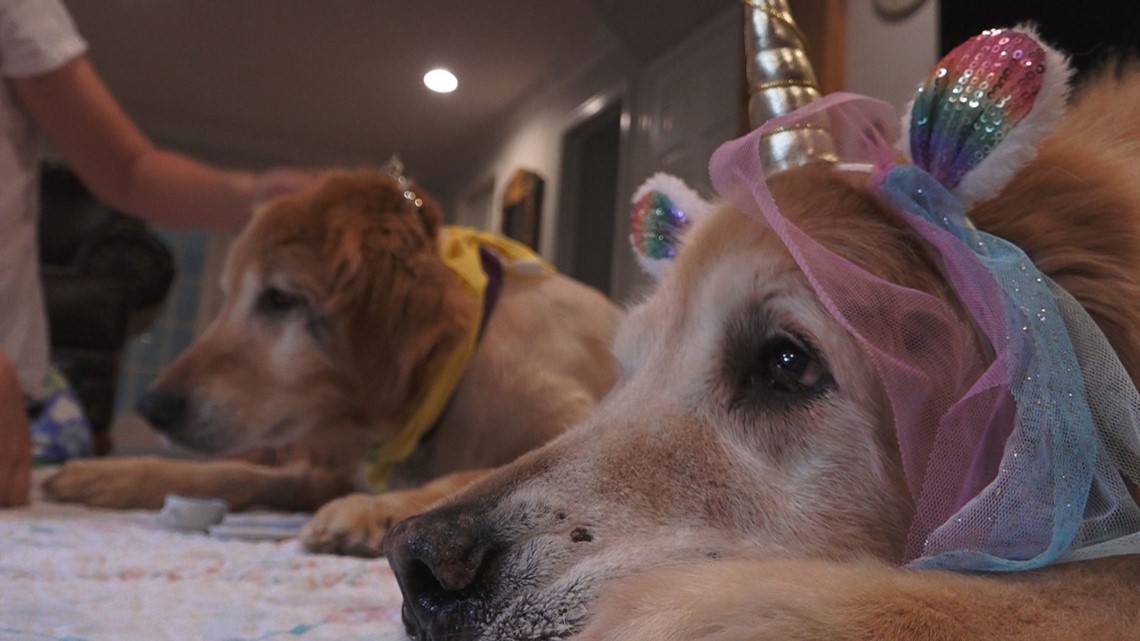 "It's the best years of their life" | East TN woman runs 'retirement ...