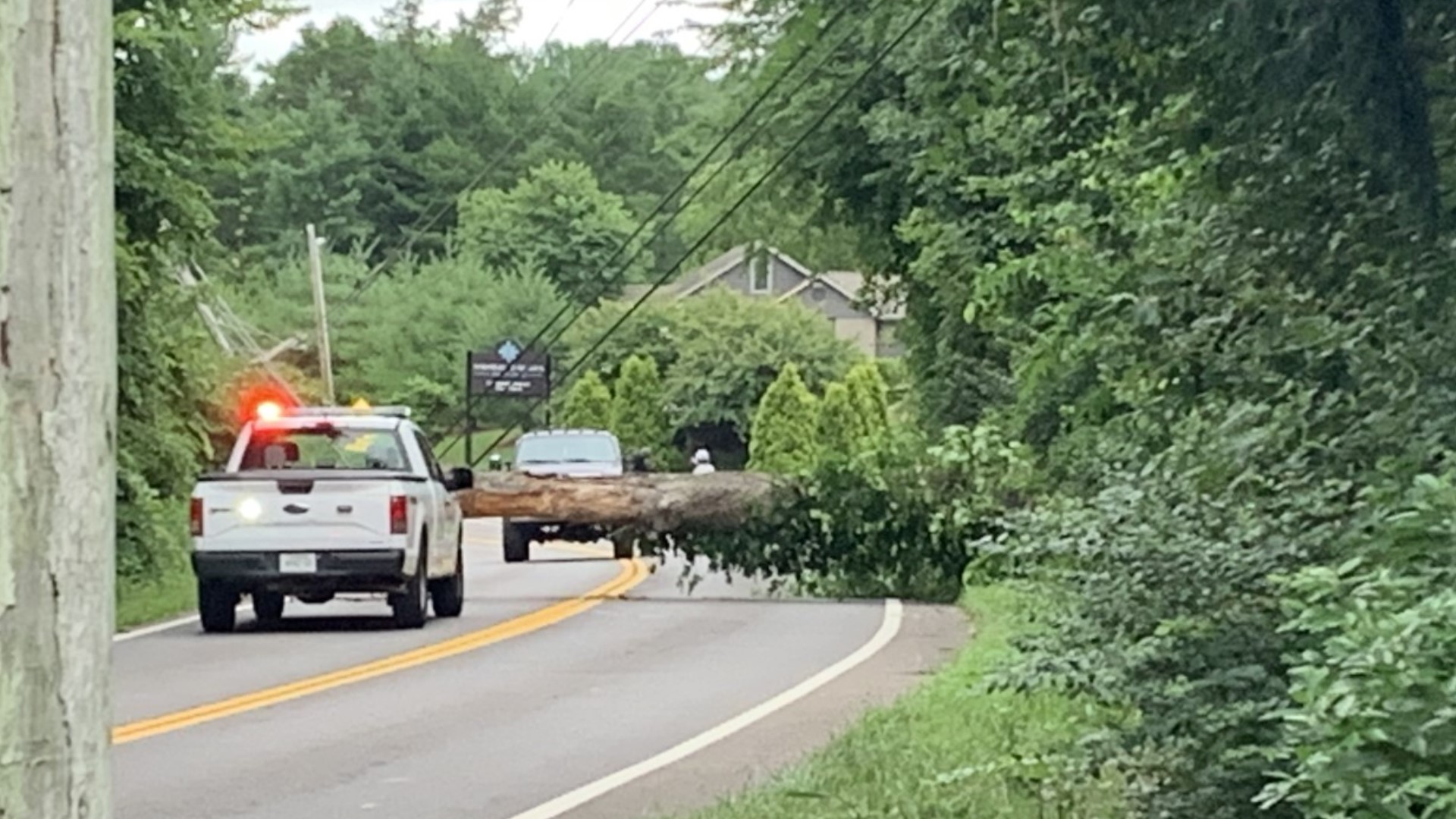 Powerline down after tree falls in Northshore | wbir.com