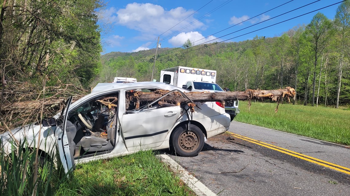 2 survive after fallen tree through car | wbir.com