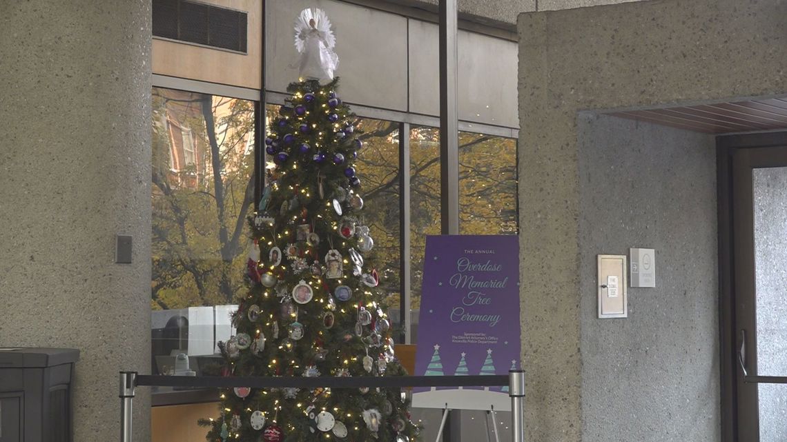 Annual Overdose Memorial Tree honors lives lost to overdoses in Knox ...
