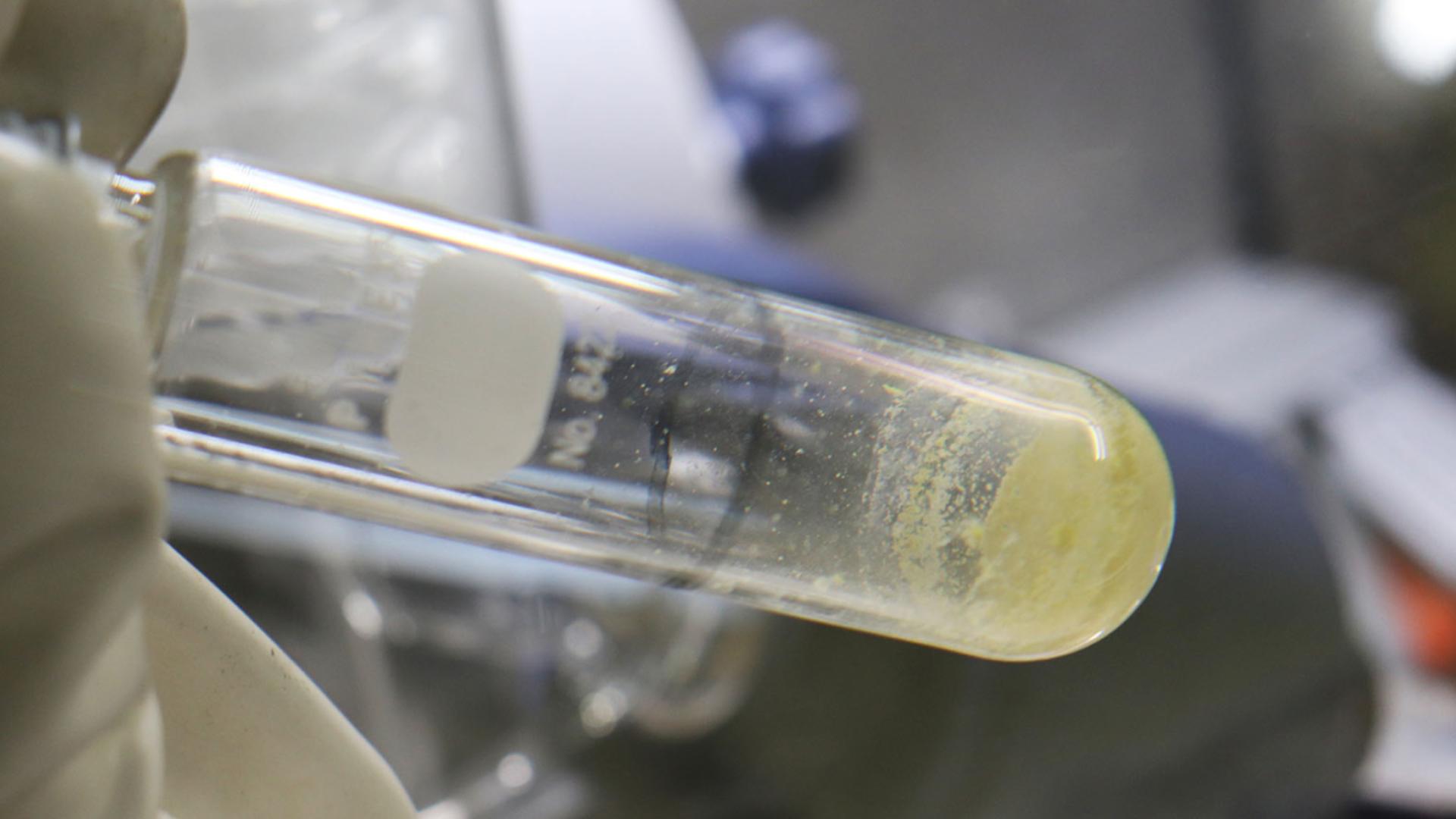 Oak Ridge contractor boosts cancer treatment isotope supply | wbir.com