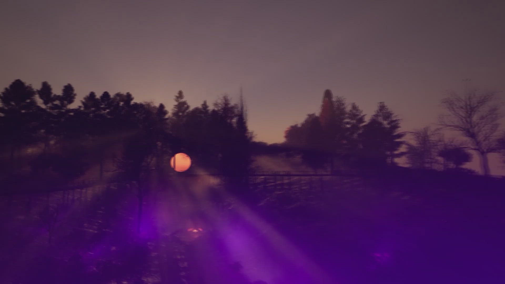 Zoo Knoxville to light up this winter with 'Smoky Night Lights' | wbir.com