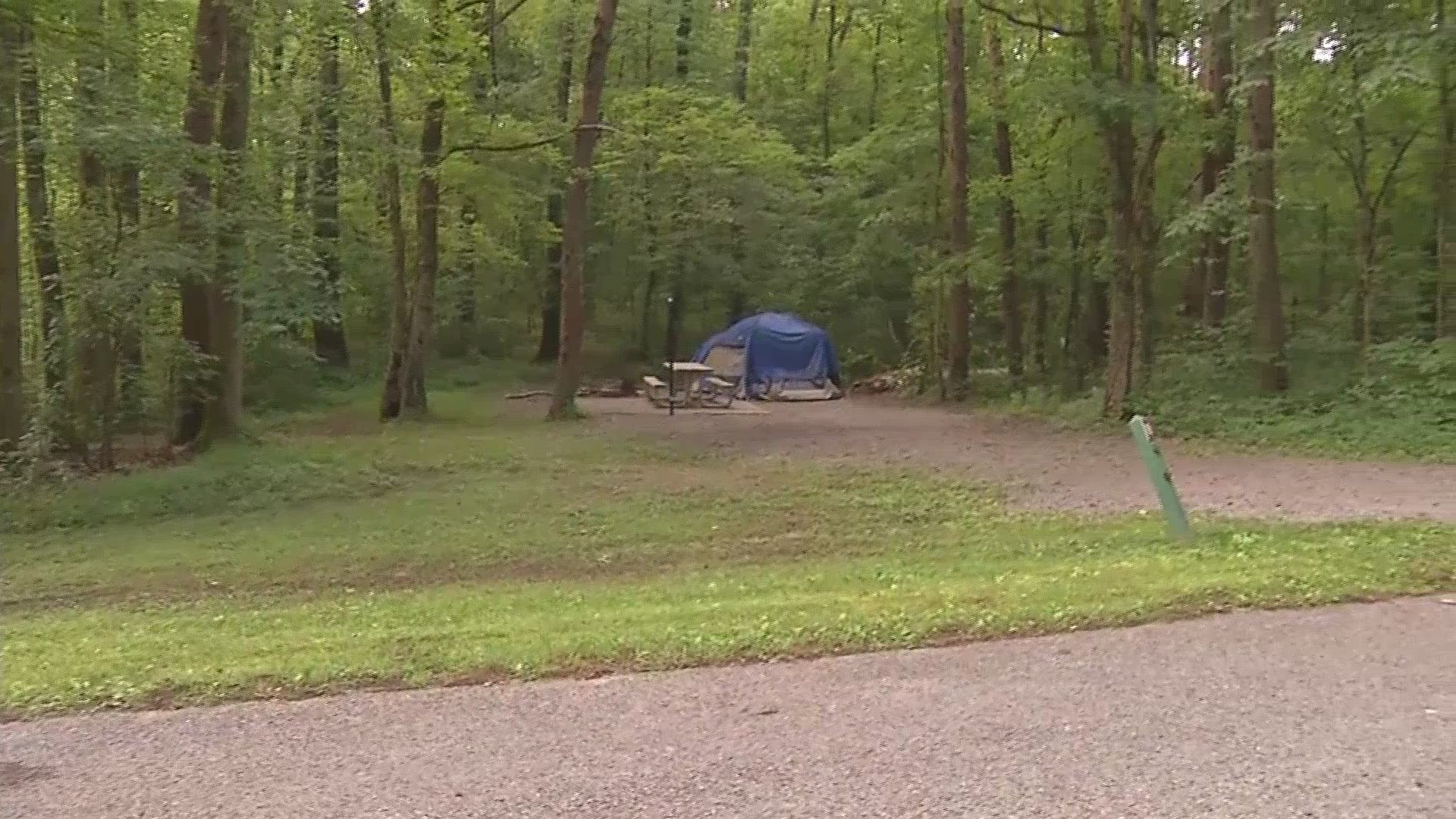 East Tennessee girl dies when tree falls on tent | wbir.com