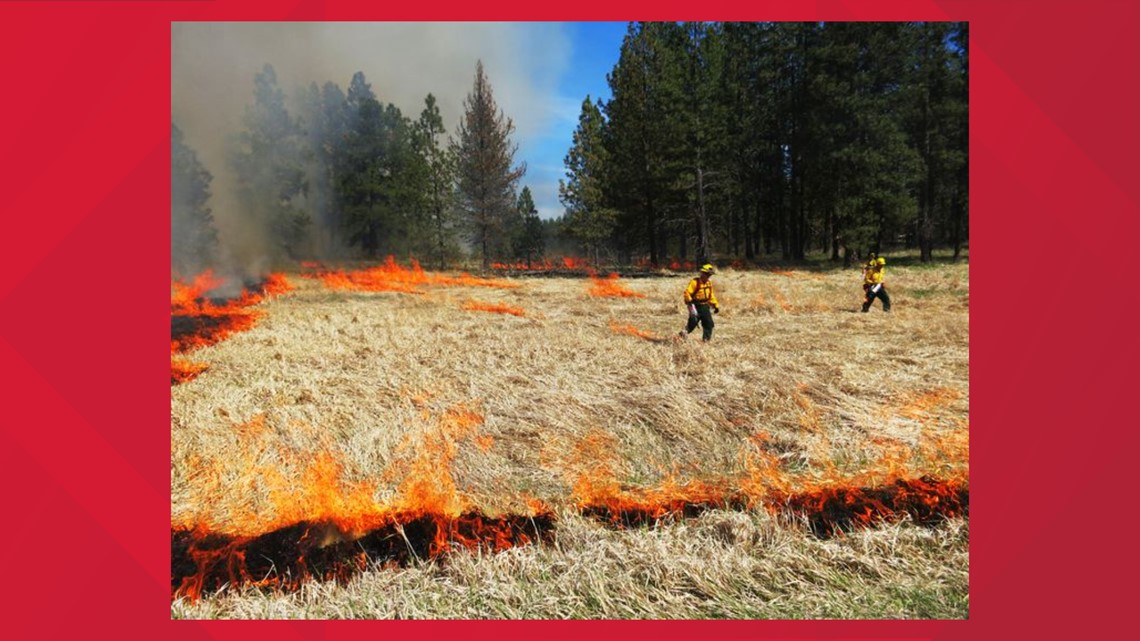 Prescribed fire planned in Cocke County | wbir.com