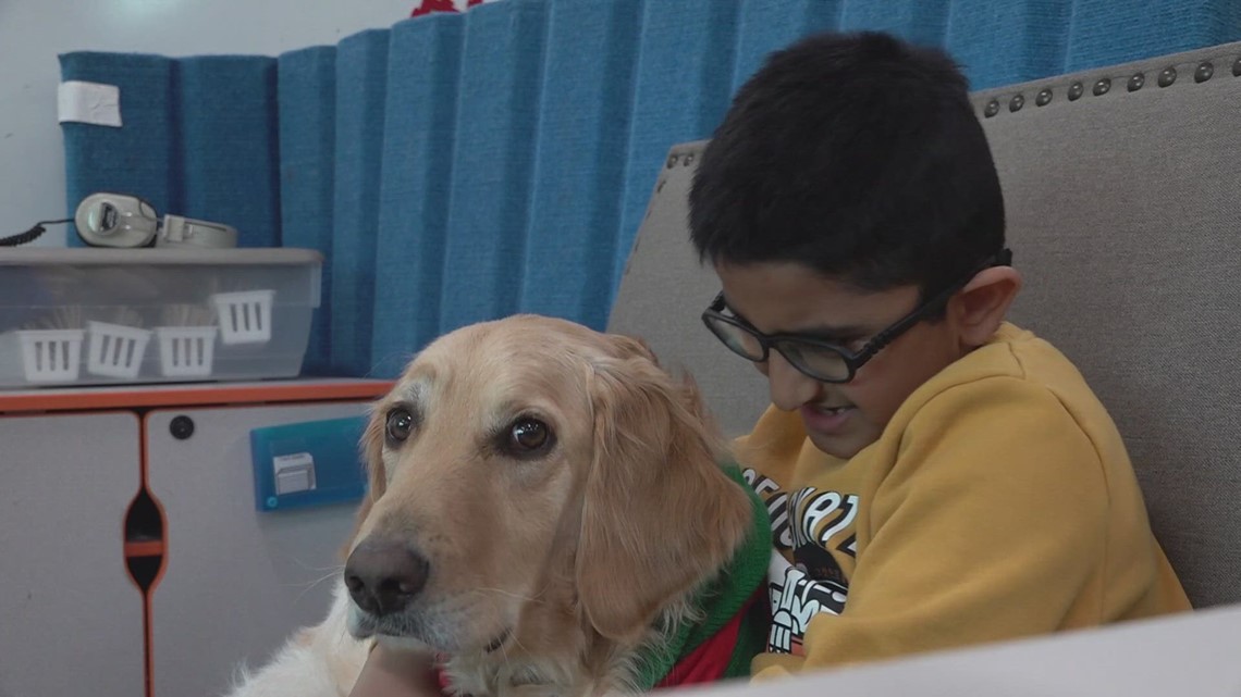 East TN schools welcome HABIT therapy dogs to help students | wbir.com