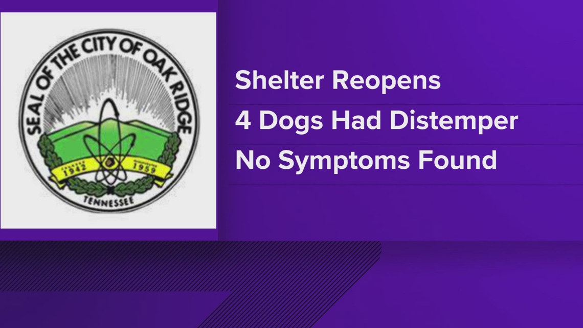 Oak Ridge Animal Shelter back open after dogs test positive for ...