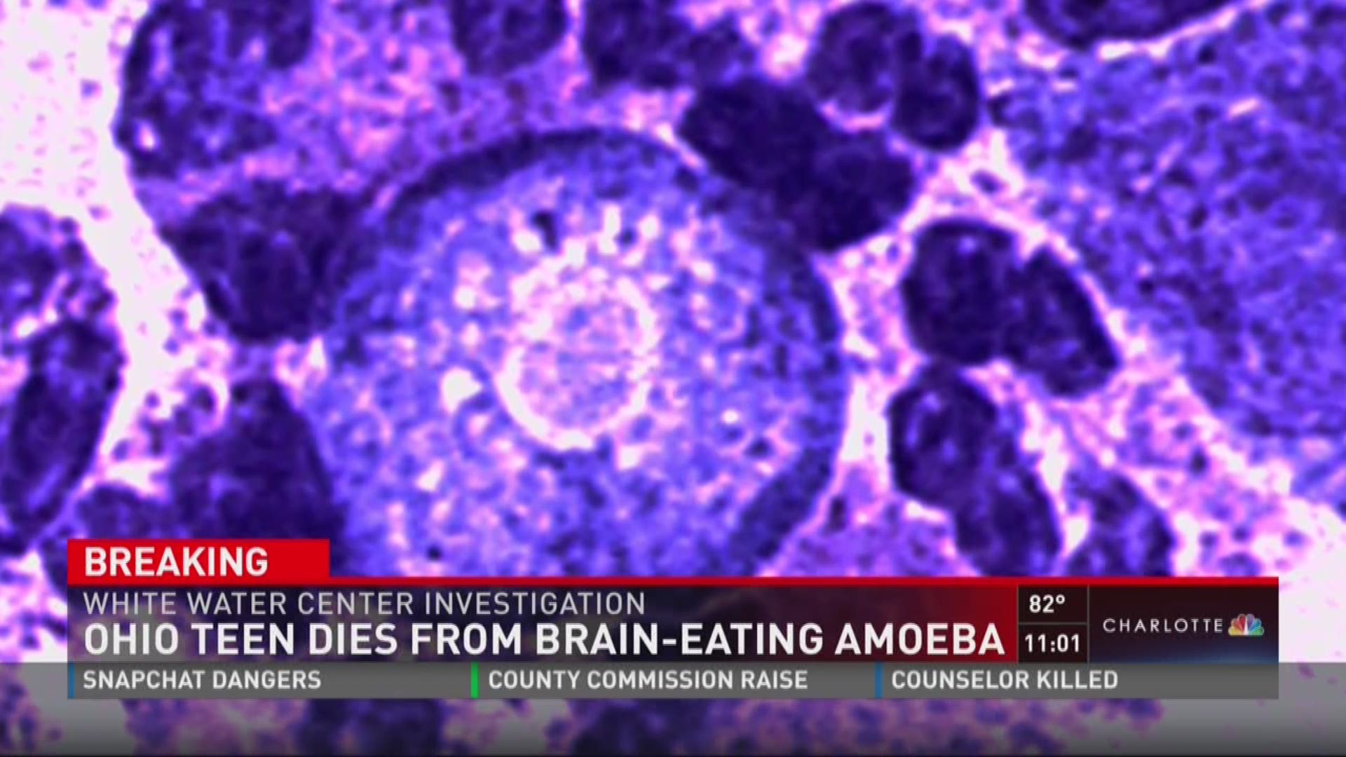 Teen dies from brain-eating amoeba infection after visit to Whitewater ...