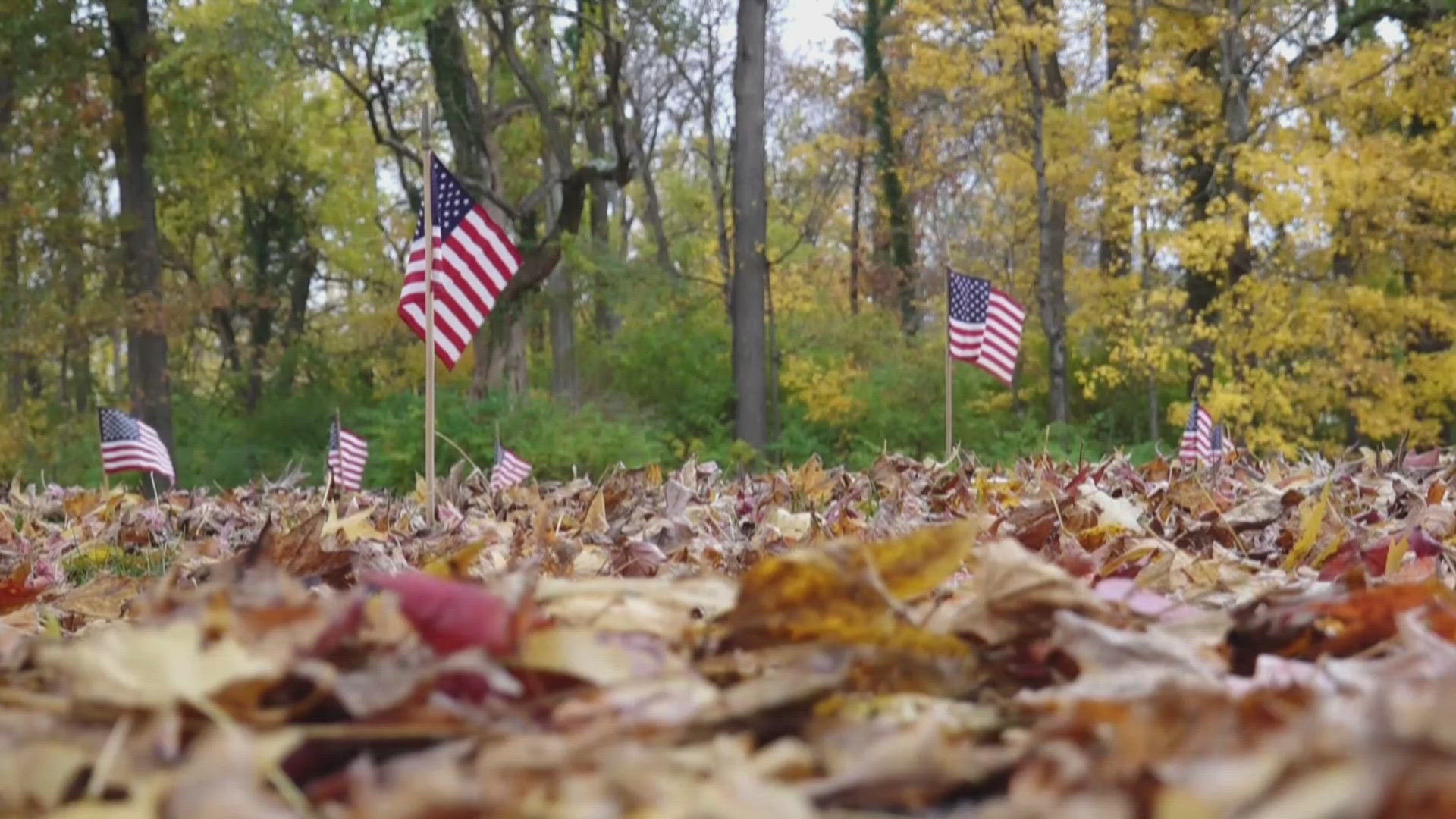 Volunteers honor veterans at Cave Hill Cemetery | wbir.com
