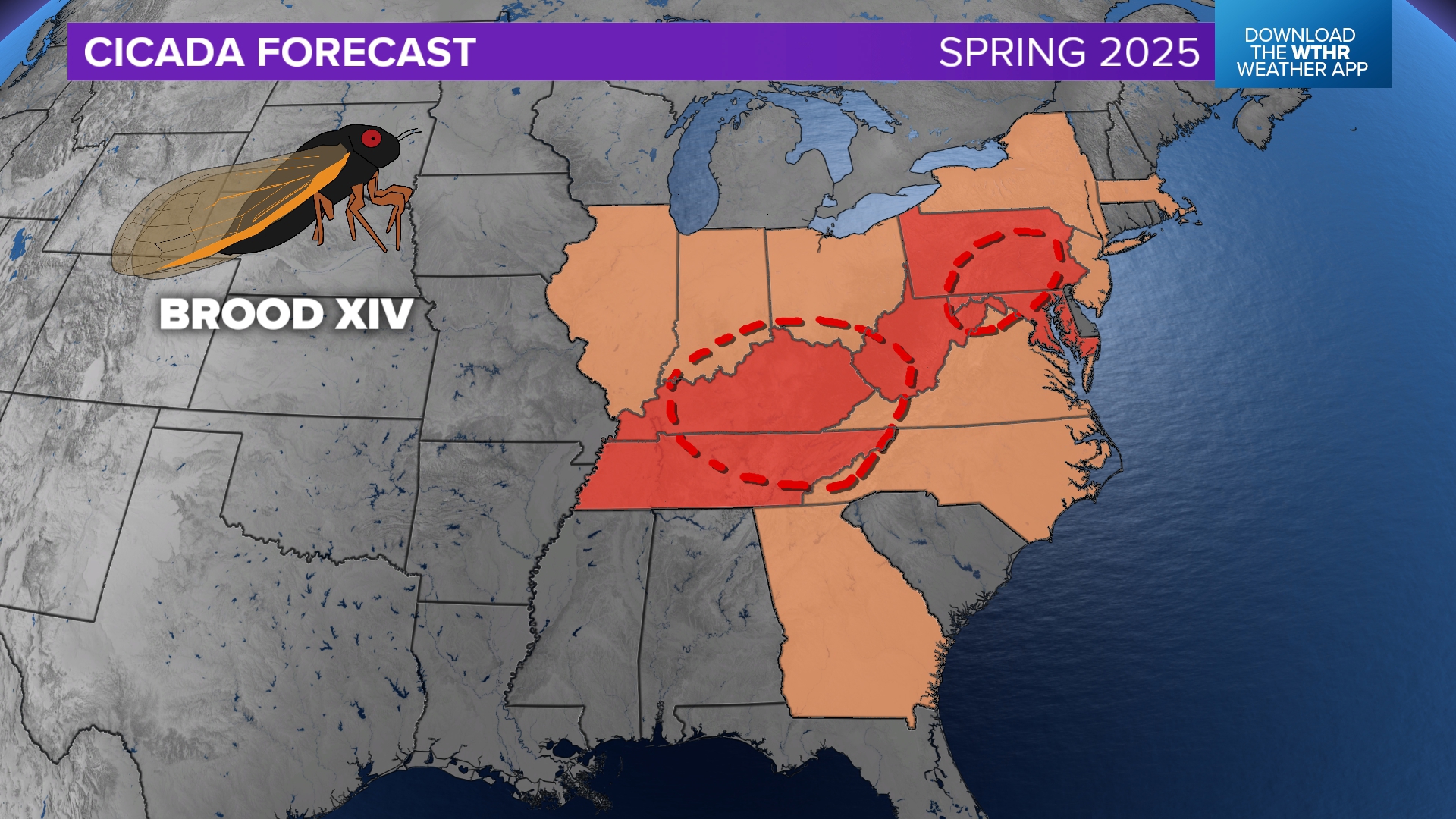 Tennessee to see high cicada activity this spring | wbir.com
