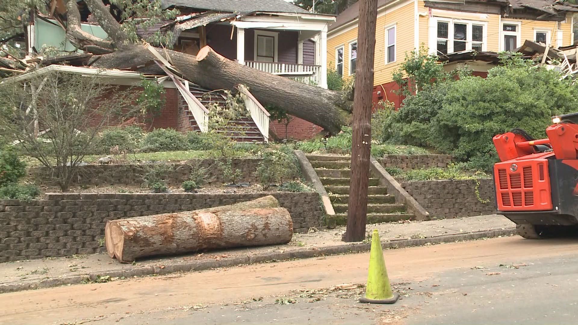 Driver who caught falling tree, accident on camera: 'Thank God she saw ...