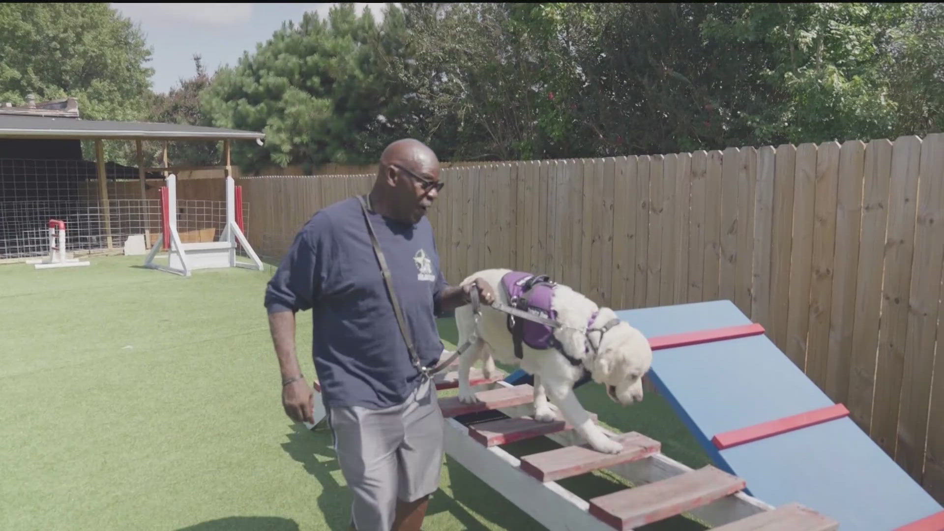 Georgia Army veteran finds support through service dogs | wbir.com