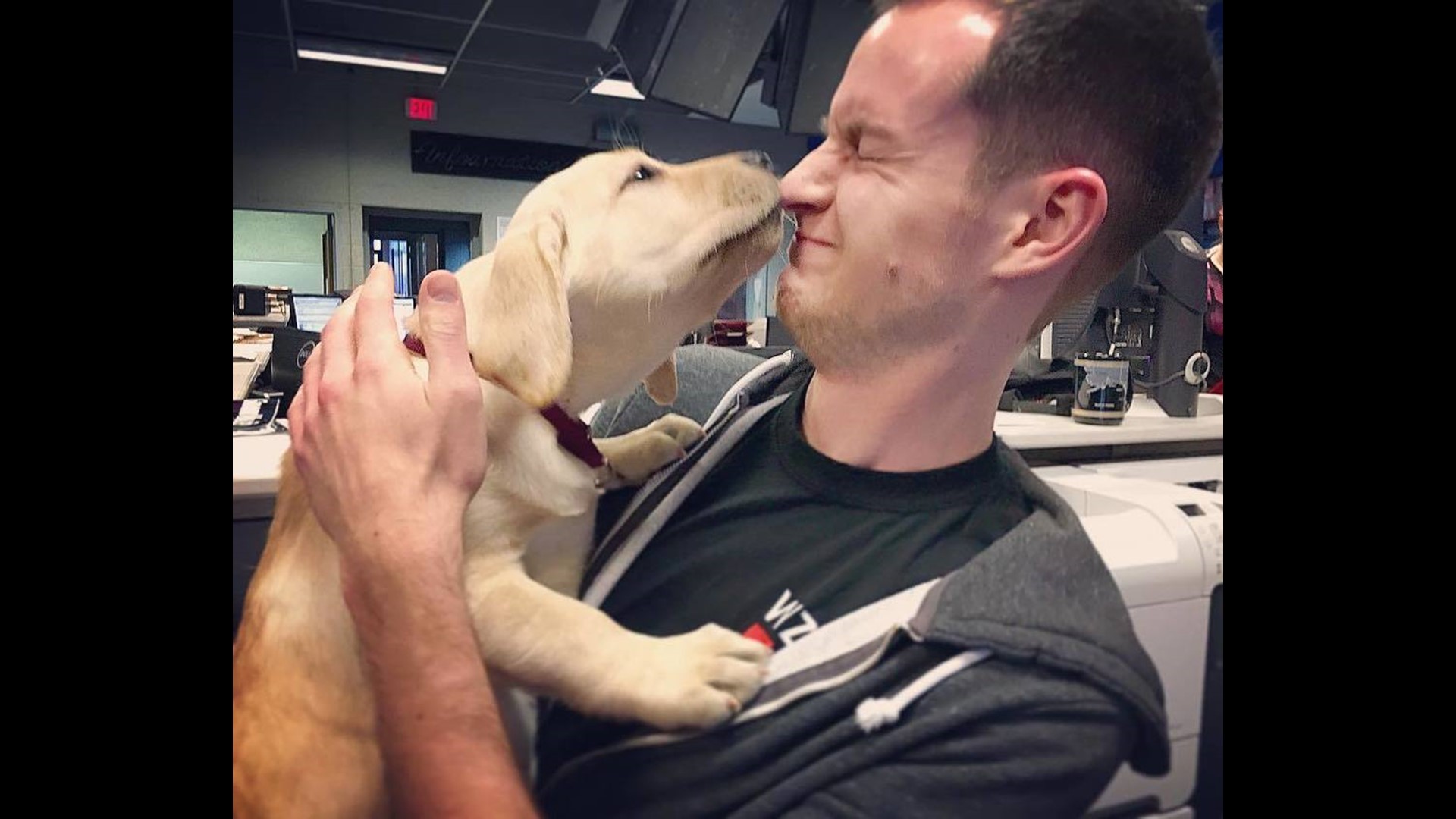 Meet CJ, WZZM 13's Paws with a Cause service dog in training | wbir.com